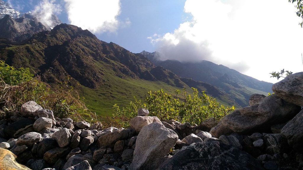 The Magical Valley of Flowers - Savaari Car Rentals Blog