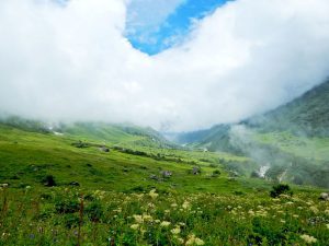 The Magical Valley of Flowers - Savaari Car Rentals Blog