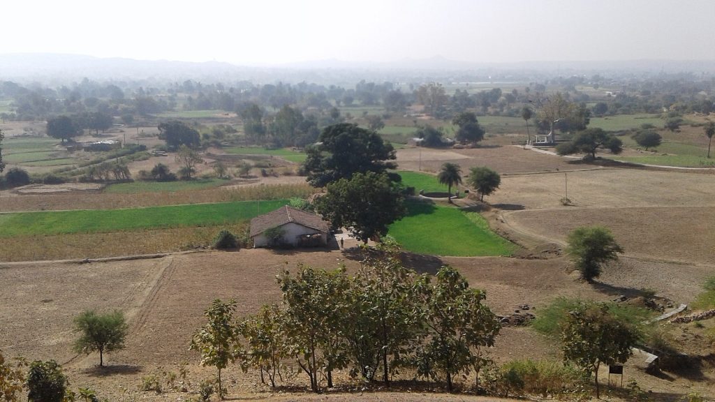 The Bamboo Forests of Banswara - Savaari Car Rentals Blog
