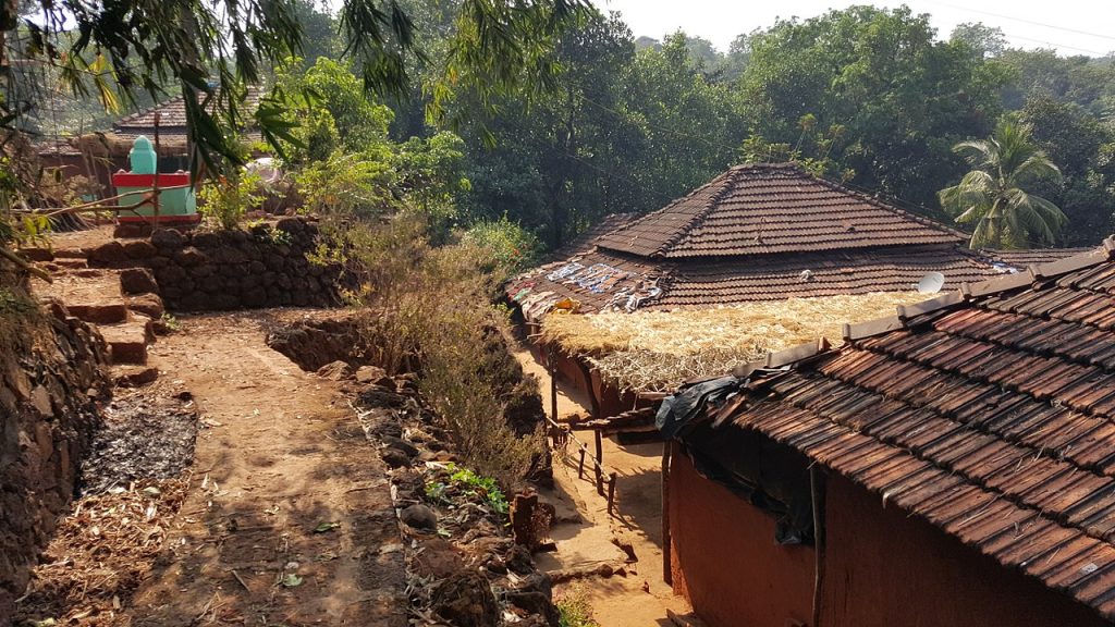 Velas Turtle festival: Ratnagiri