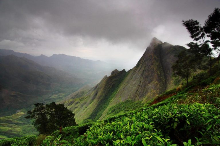 Avoid the Crowds: Best Time to Visit Munnar Revealed
