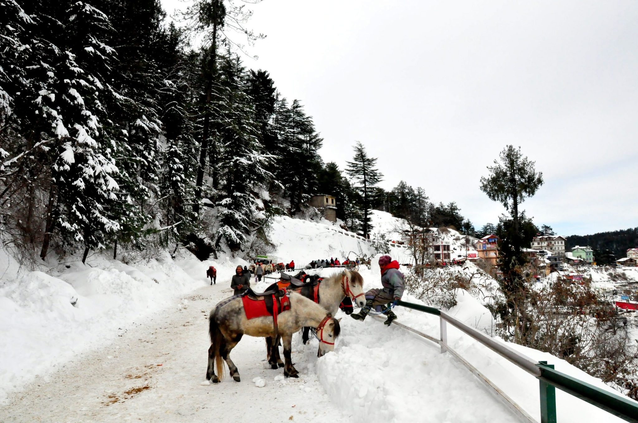 Best Snow Places in India for a Magical Winter Trip