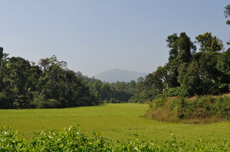 Top Reasons to Prove Coorg is the Scotland of India
