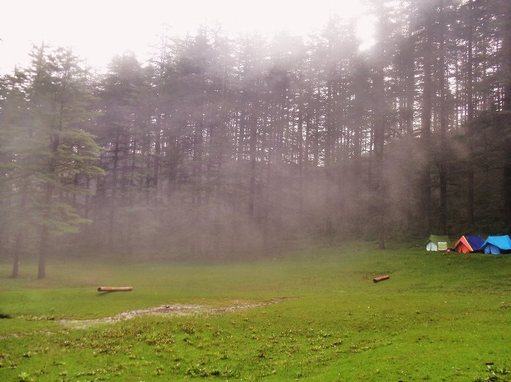 Delhi to Auli by Road – Distance, Time and Useful Travel Information