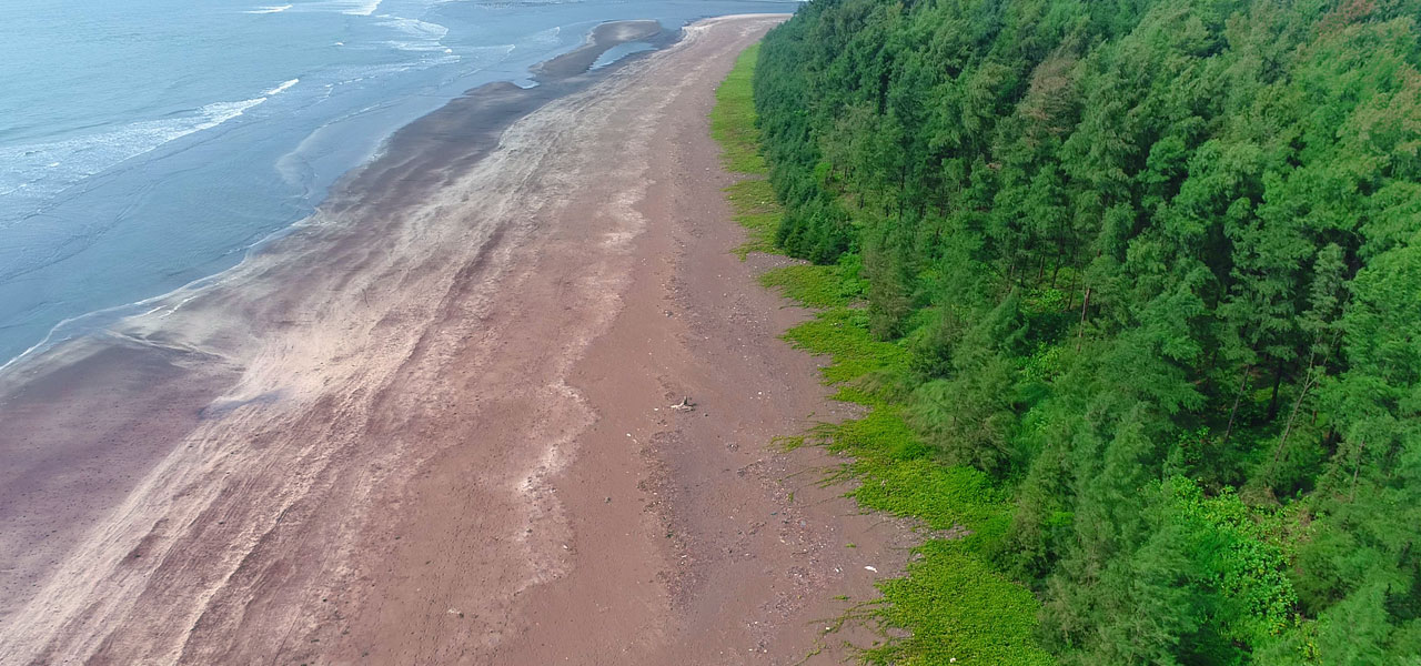 Turtle Trails & Tranquil Tides - Things to do in Velas