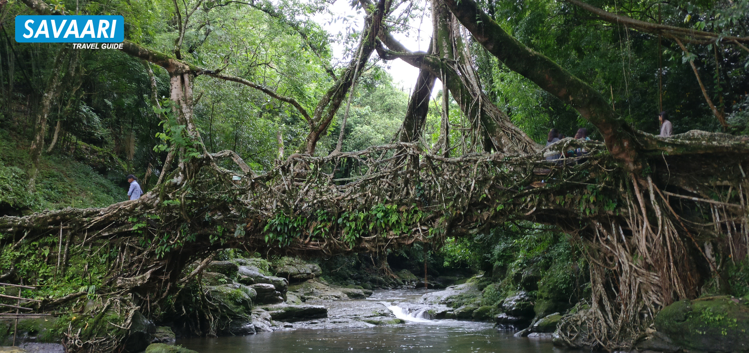 Asia's Cleanest Village Explored - Things to do in Mawlynnong