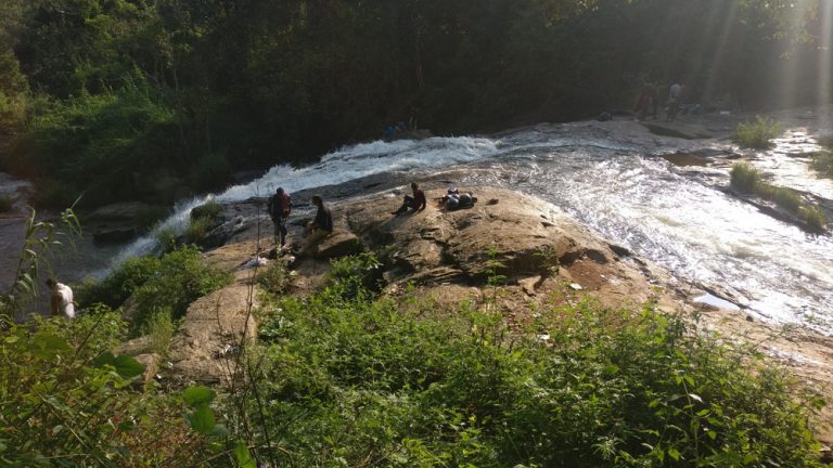 Secrets of the Verdant Nilgiris - Things to do in Coonoor