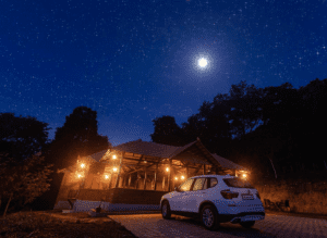 Waterfalls, Wildlife & Western Ghats - Things to do in Shimoga