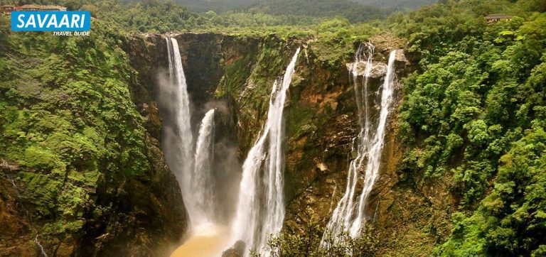 Waterfalls, Wildlife & Western Ghats - Things to do in Shimoga