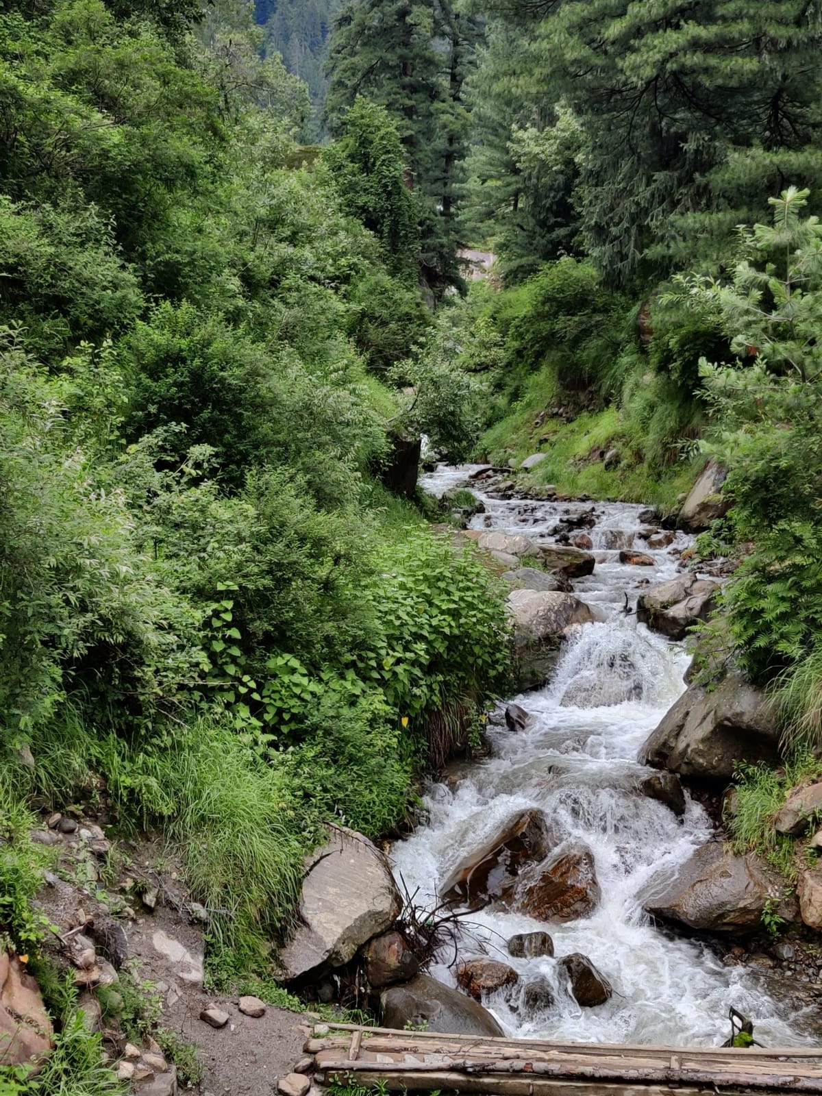 Best Cafes in Tosh with good food and view