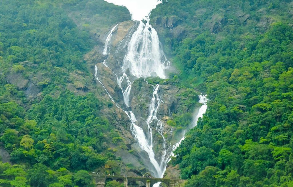 Nature's Superb Water Symphony- Things to do at Dudhsagar Falls
