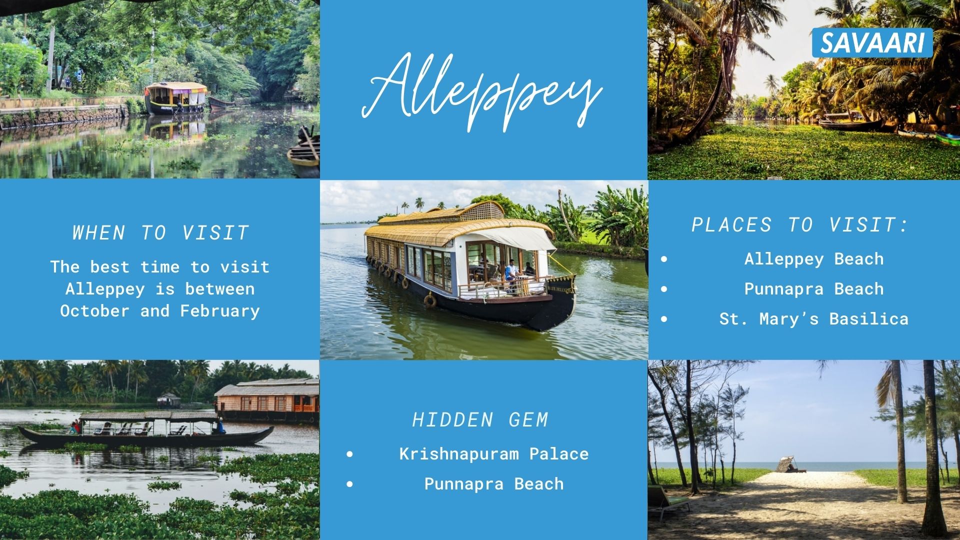 Backwater Bliss & Boat Rides - Things to do in Alleppey