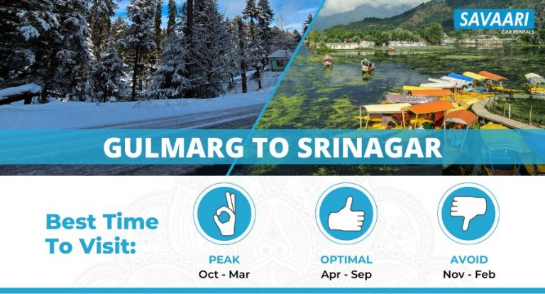 Gulmarg to Srinagar Road Trip: Distance, Time & Useful Info