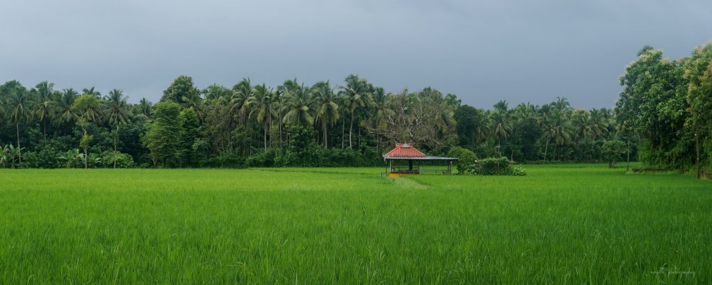 Things to do in Palakkad - Offbeat Gems in the bustling City!