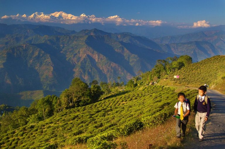 Siliguri's Natural Charms Unveiled - Things to do in Bagdogra