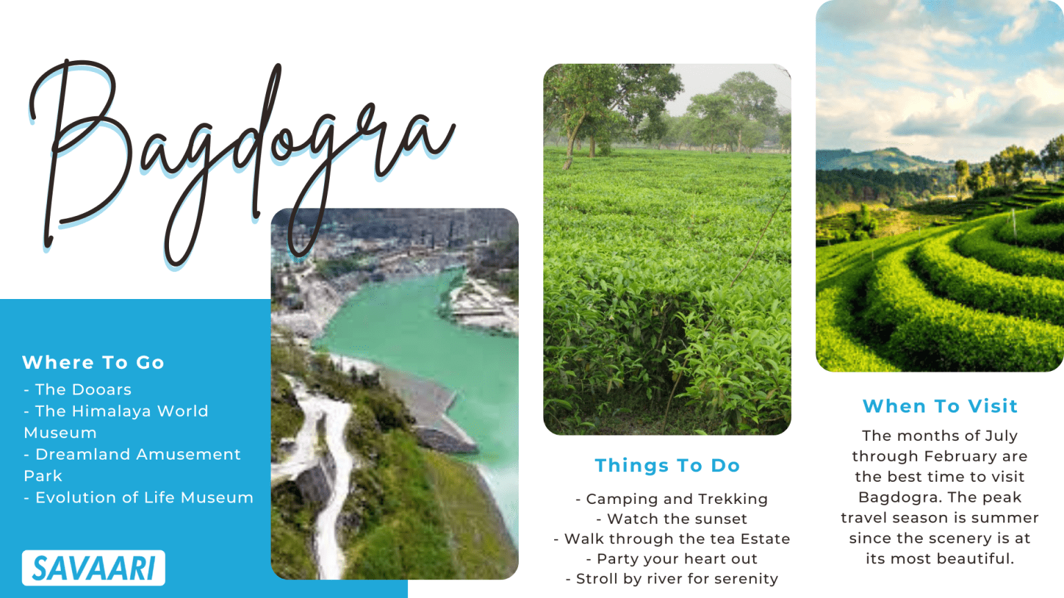 Siliguri's Natural Charms Unveiled - Things to do in Bagdogra