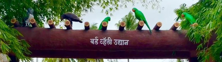 Shirdi to Pune by Road - Distance, Time and Useful Travel Information