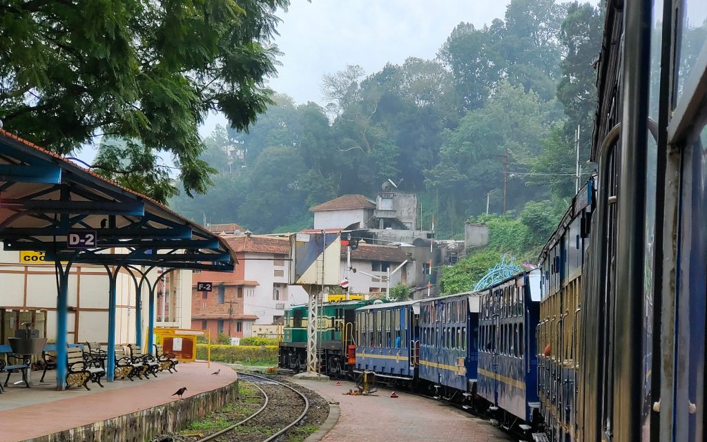 Beyond the brew - Discovering the beauty of tea tourism in India