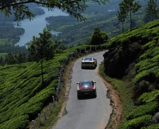 Twists, turns, and tea gardens - Mysore to Ooty road trip