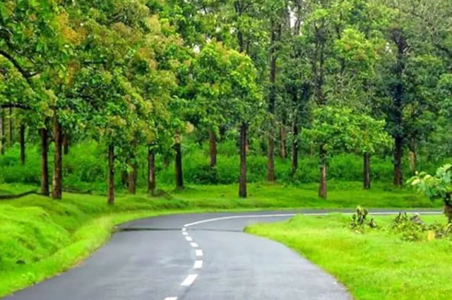 Coorg to Bangalore by Road - Distance, Time & Useful Travel Information