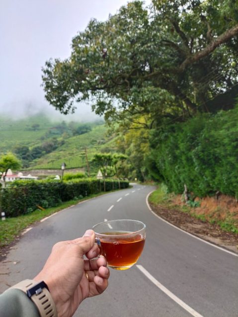 Chai Chronicles: Roaming the Tea Gardens of Assam