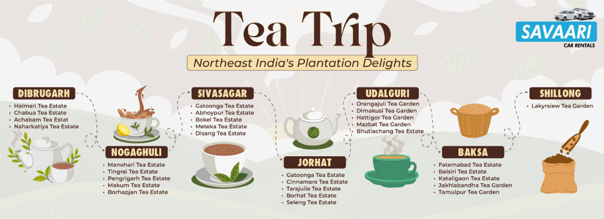 Chai Chronicles: Roaming the Tea Gardens of Assam