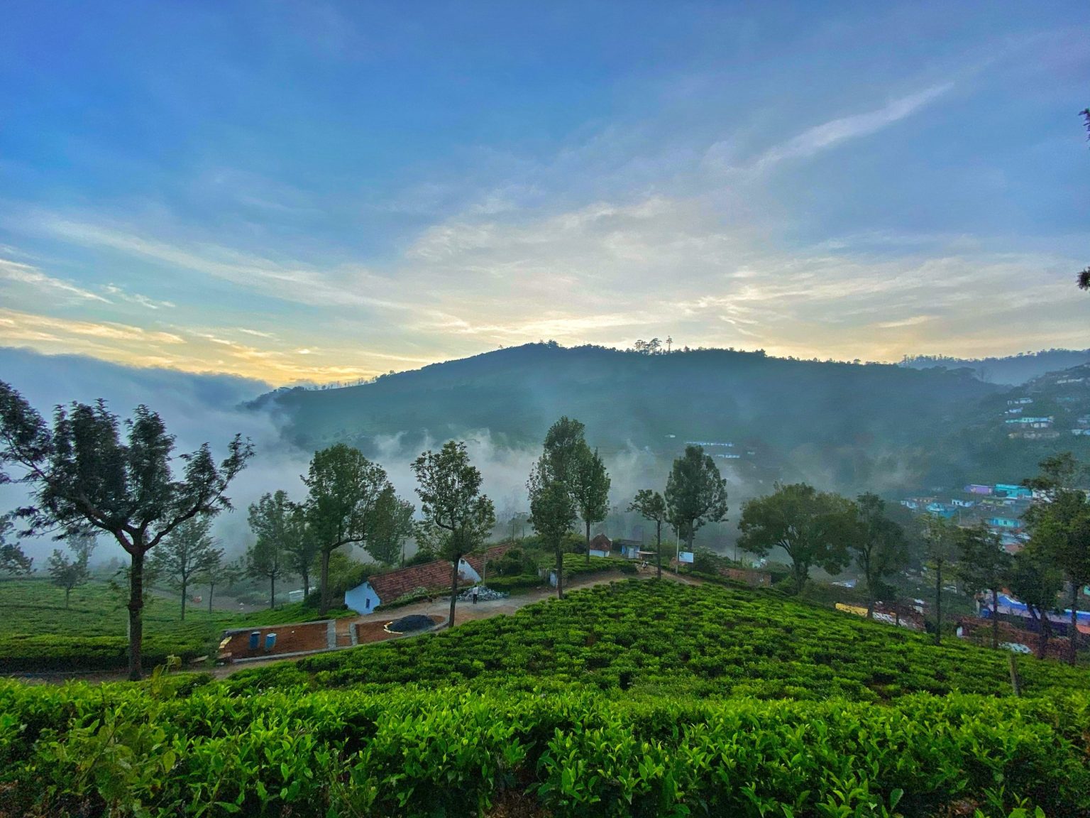 Best Places to Visit in August in India for a Rainy Retreat